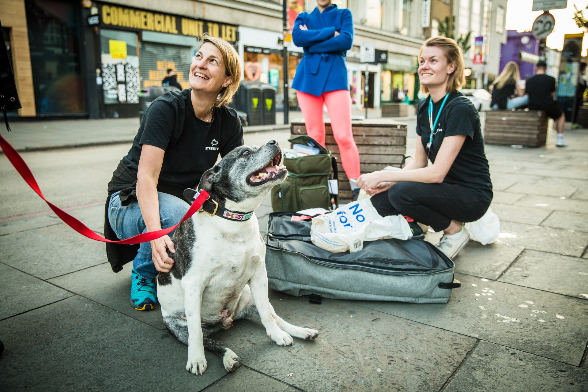 Delivering care for the companions of people experiencing homelessness – StreetVet - The Royal ...